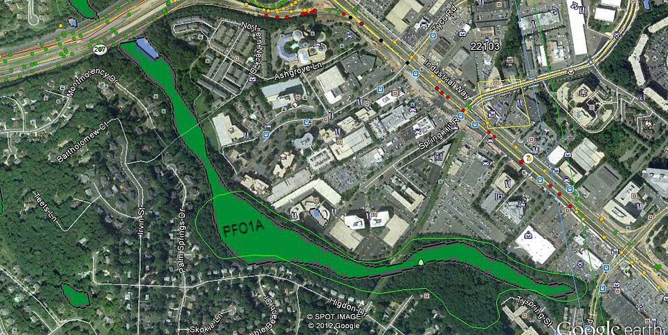 Wetlands – Tysons Last Forest