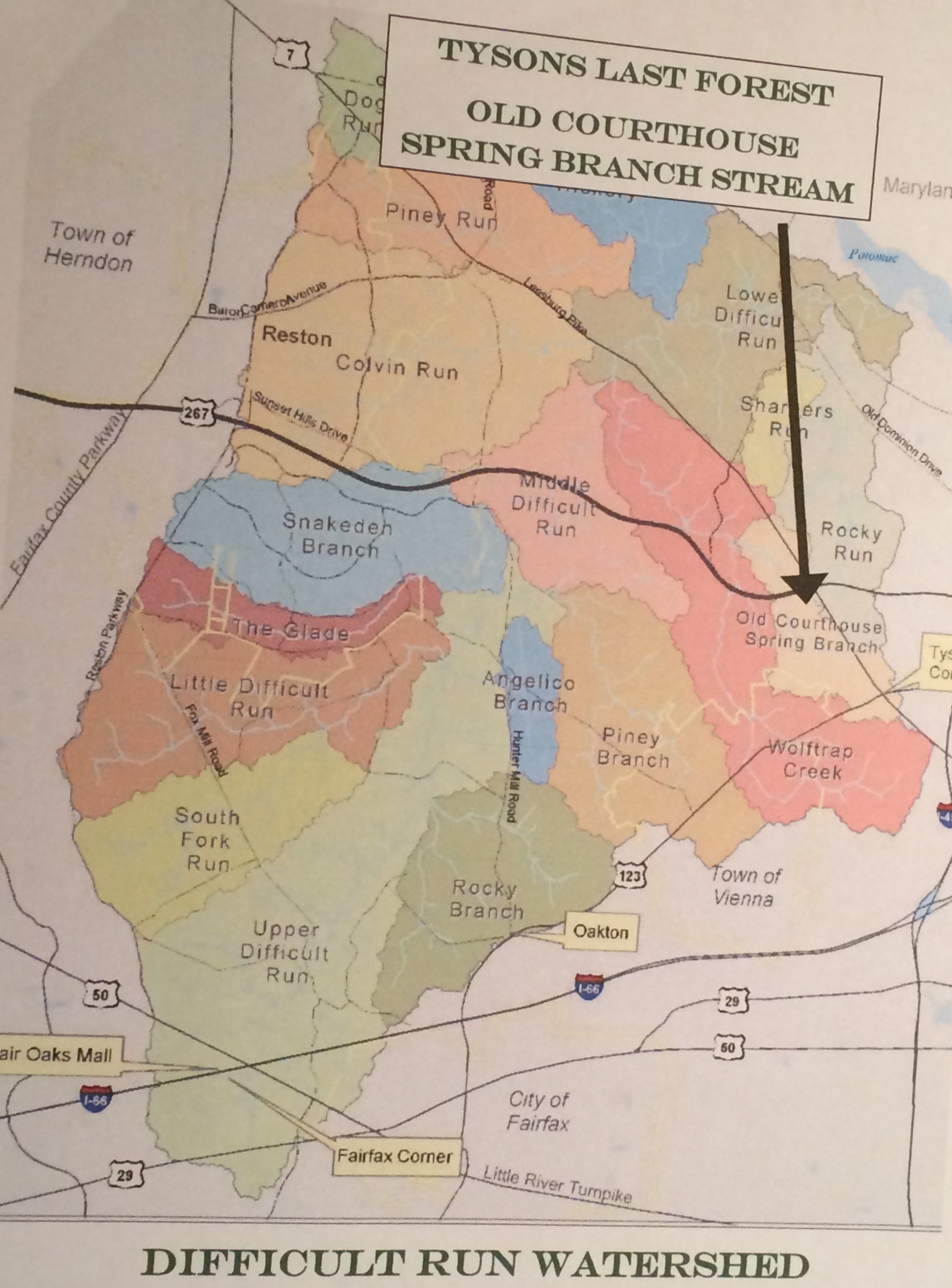 Difficult Run Watershed – Tysons Last Forest